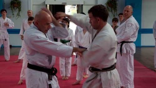 Surrey Karate, Martial Art Instruction In Farnham